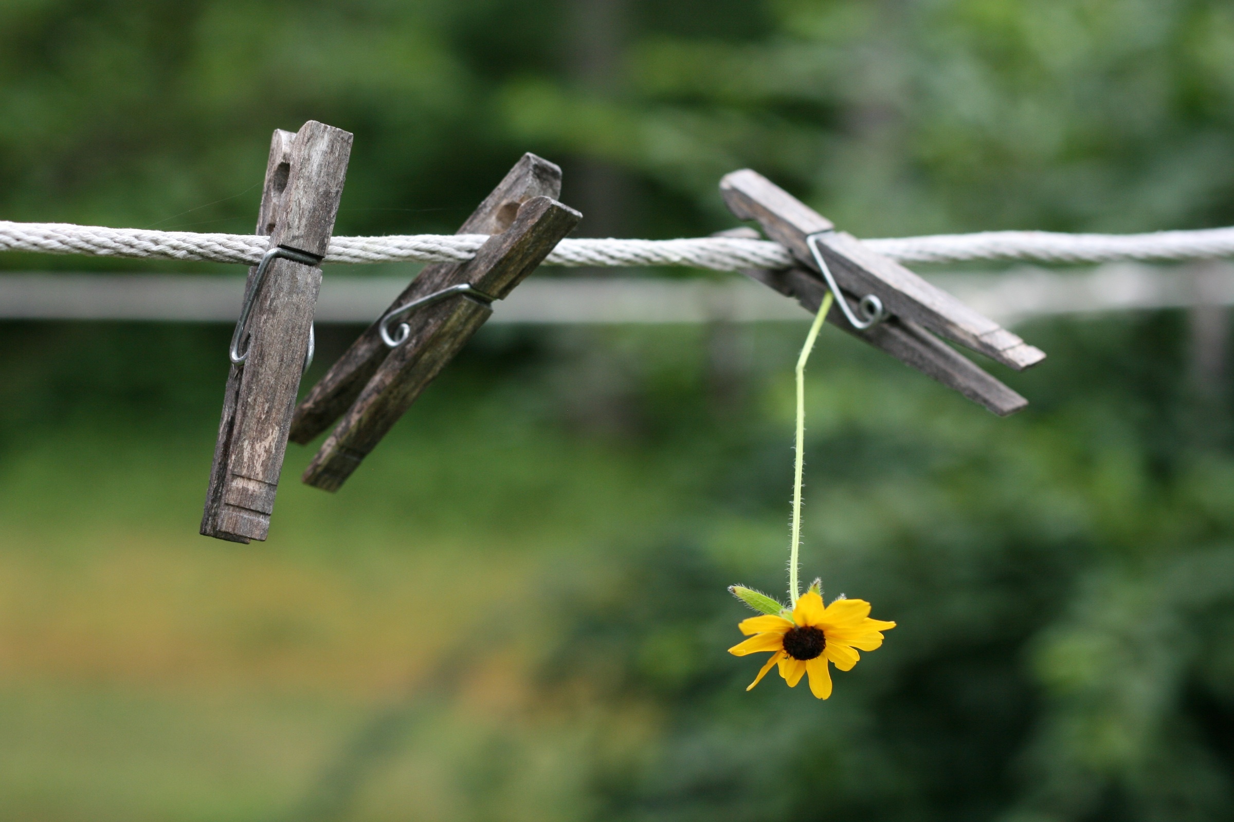 Hanging out the Laundry – NYC Scholastic Art & Writing Awards Blog